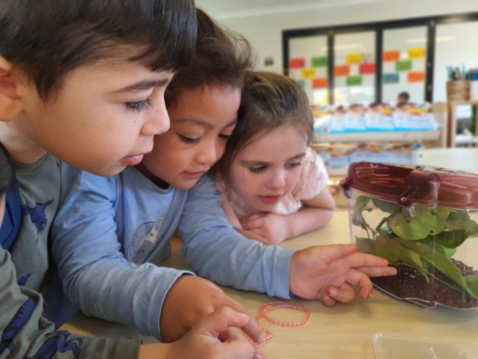 Mini Masterminds Childcare Preschool Program